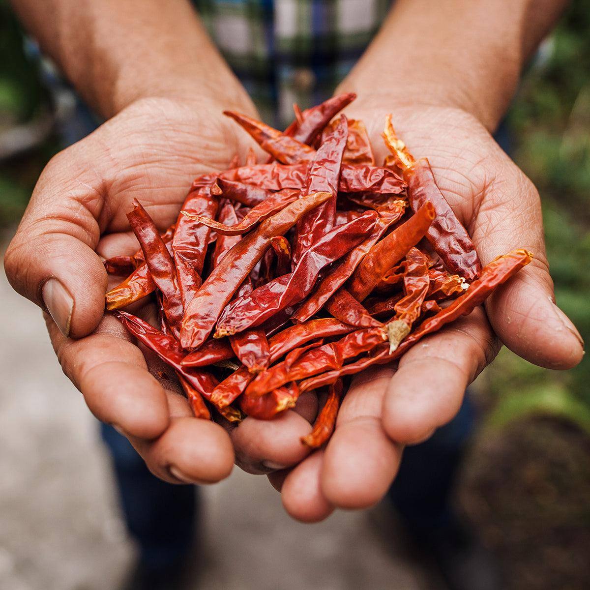 Cayenne Chilli | One Stop Chilli Shop